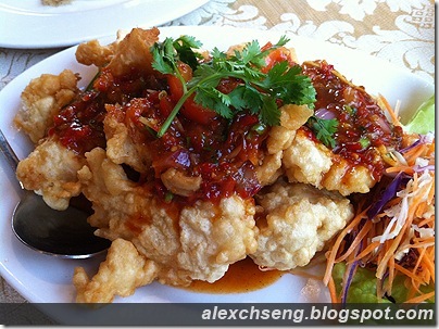 Down Memory Lane: AU2010 - Dhok Koon